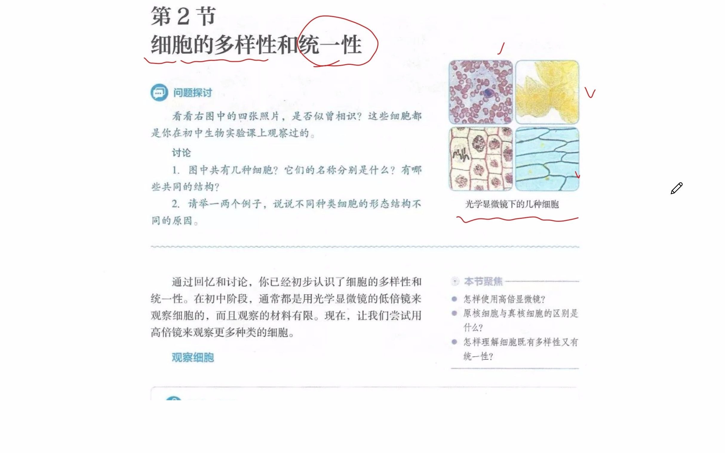 5.【新人教版生物课本解读系列】必修一第一章细胞的多样性和统一性5