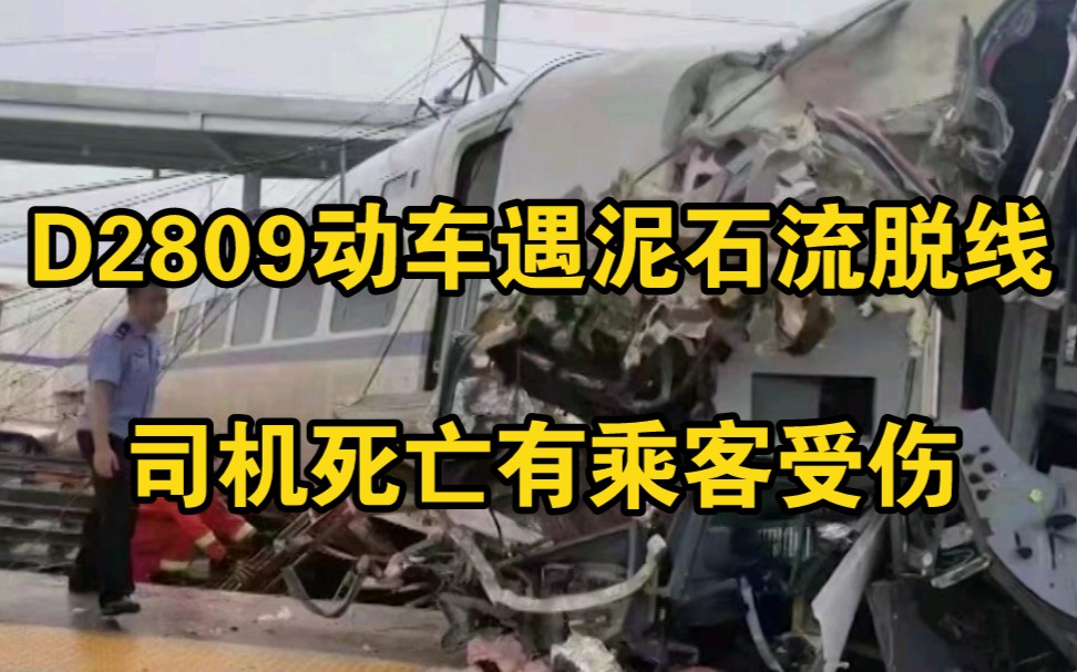 突发!D2809动车遇泥石流脱线冲向站台,司机死亡有乘客受伤