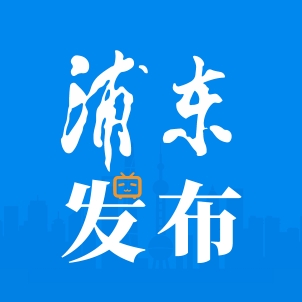 浦东发布 