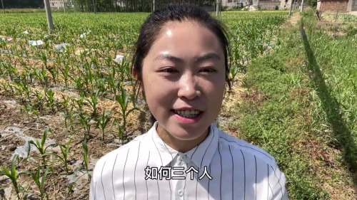 在农村三个人一天竟挣2000块,他们究竟干了啥?结局让人心疼