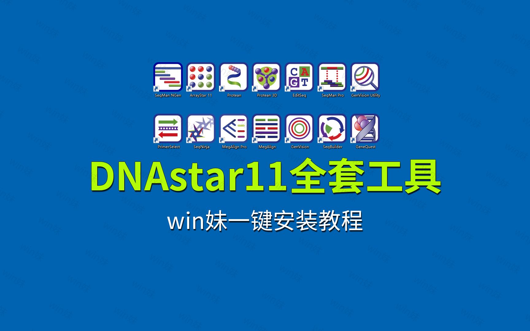 一键安装DNAstar11.1分子生物蛋白质分析序列分析引物设计