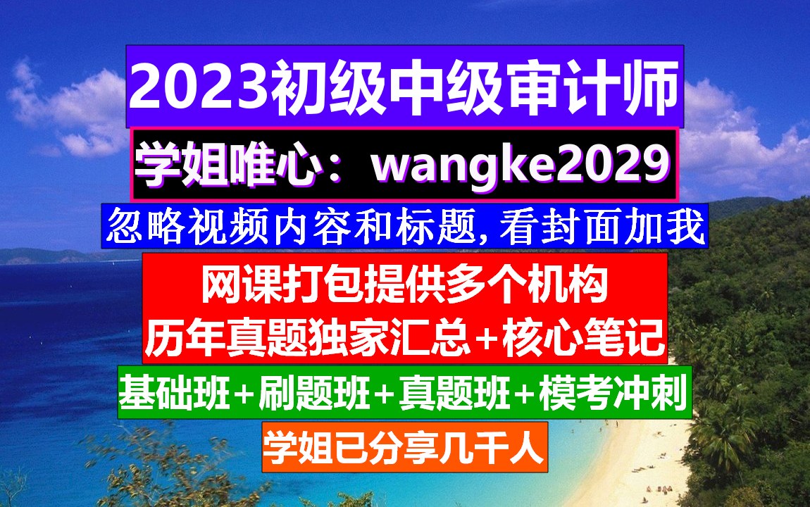 永更-审计师,审计师理论与实务答案,审计师考试官方教材