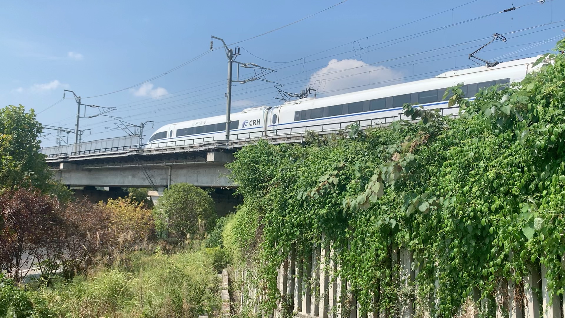 G2869次(重庆西站-昆明南站)本务成都动车段CRH3C型遵义站进站