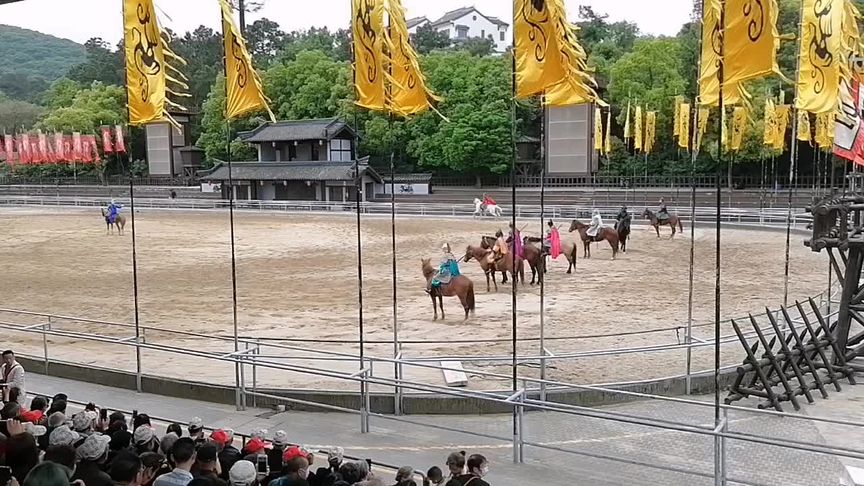 #抖音小助手抖音小程序