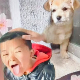 许佳佳_ 