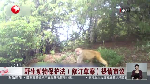 野生动物保护法(修订草案)提请审议:加强野生动物疫源疫病监测制度