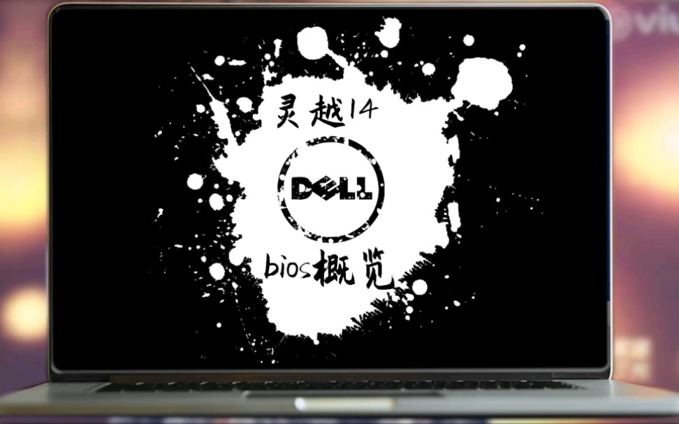 戴尔灵越14 5410的bios概览