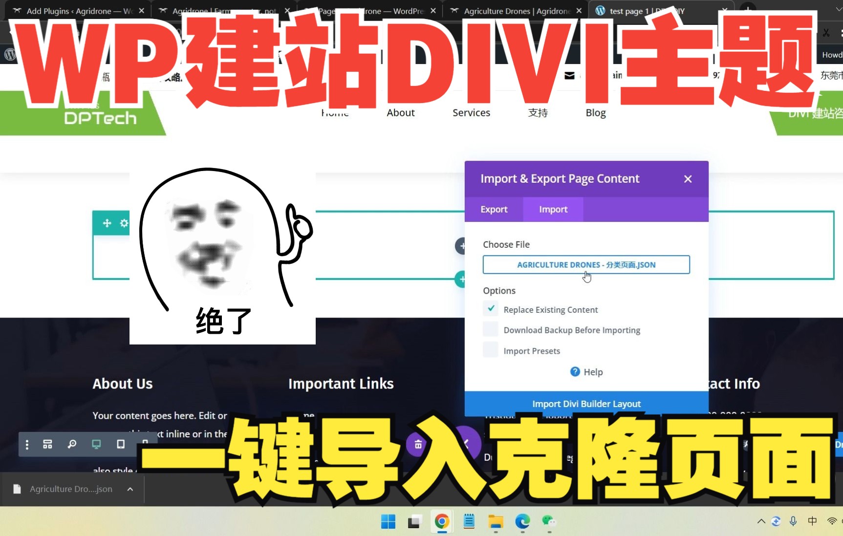 WordPress建站利用DIVI主题的便捷性一键导入页面模板-克隆布局