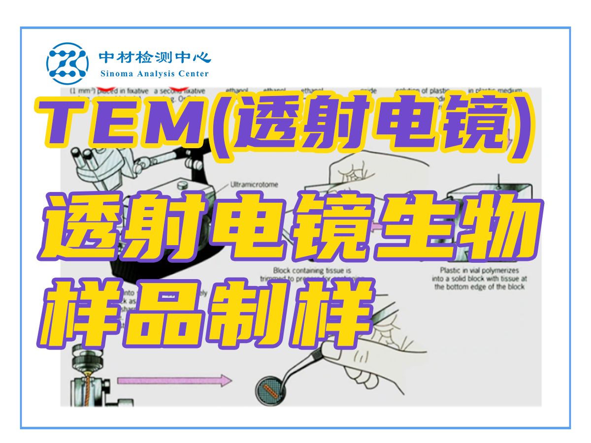 TEM测试(透射电镜)生物样品制样——①生物样品制样简介