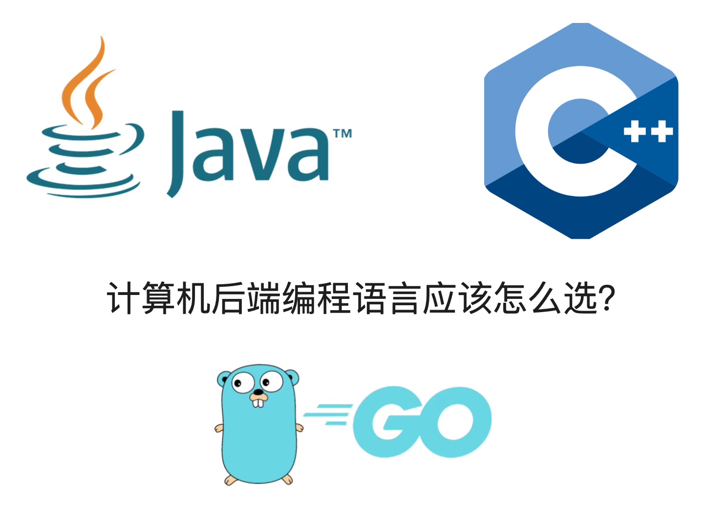 还在纠结c++和java?一个视频告诉你应该如何选择计算机后端编程语言。