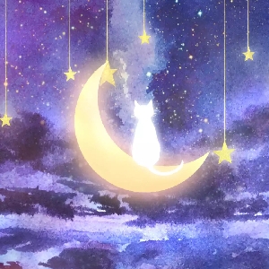 kino木可 