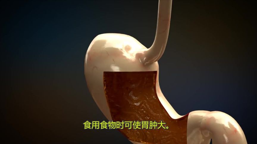 人体消化系统-工作原理! (动画)