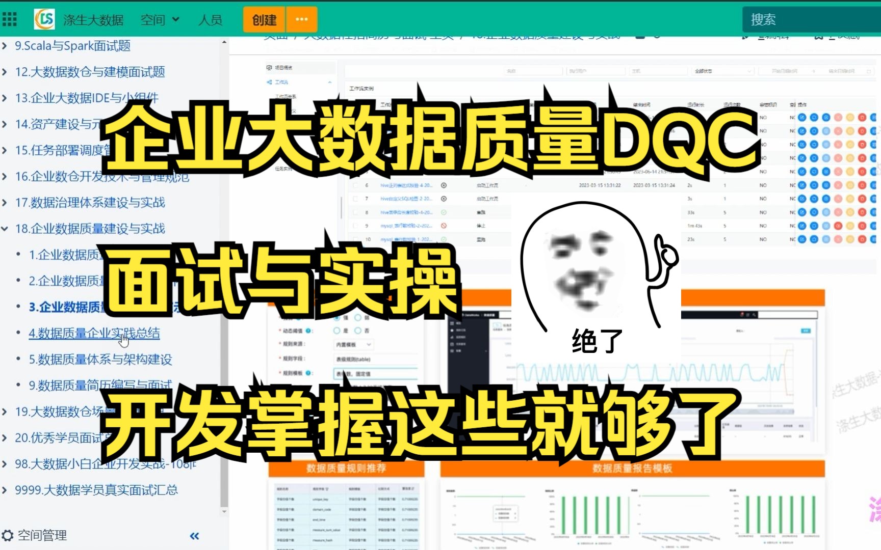 企业大数据质量理论与实战篇,开发100%会面这些