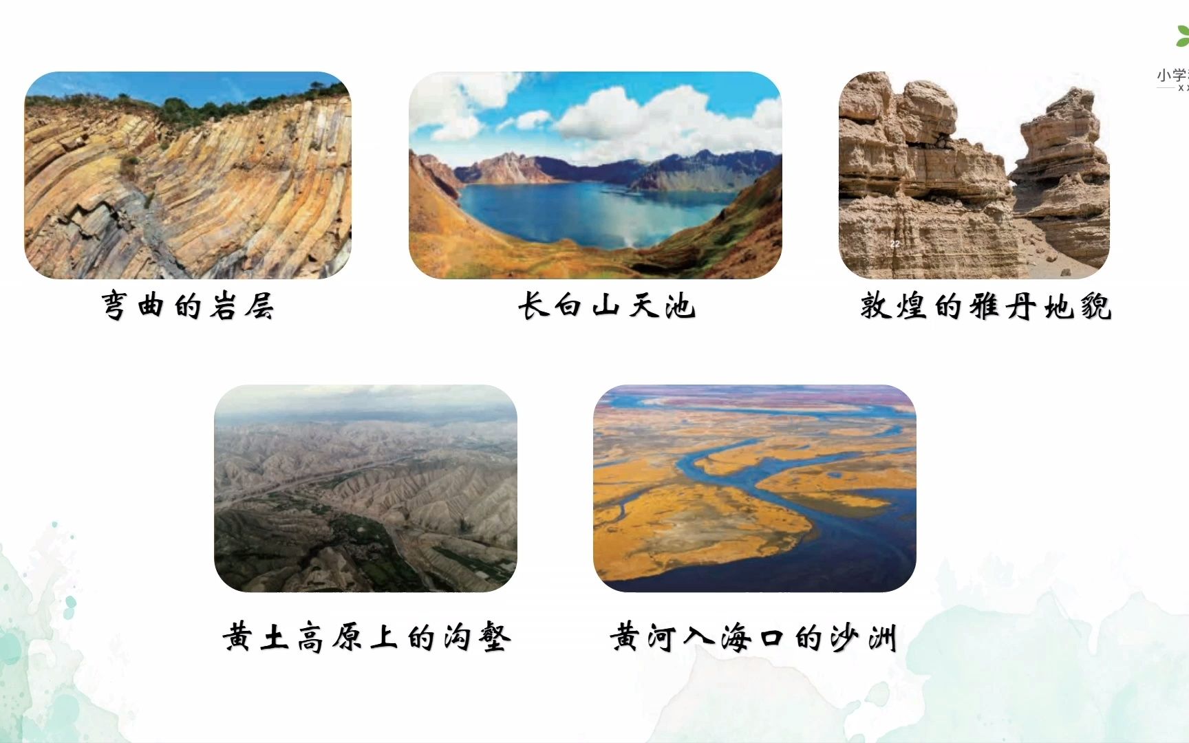 教科版科学五上2.7《总结我们的认识》