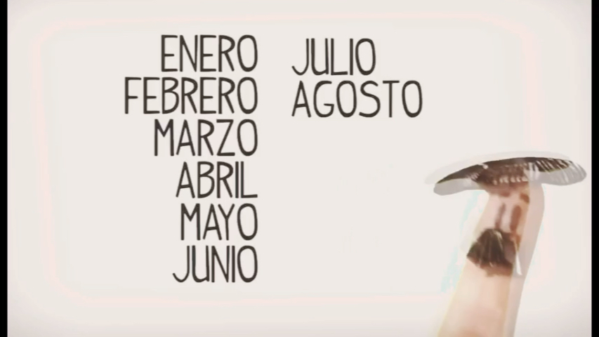 还不知道如何用西班牙语表达月份?这个视频告诉你