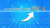 销售业绩总结数据AE模板