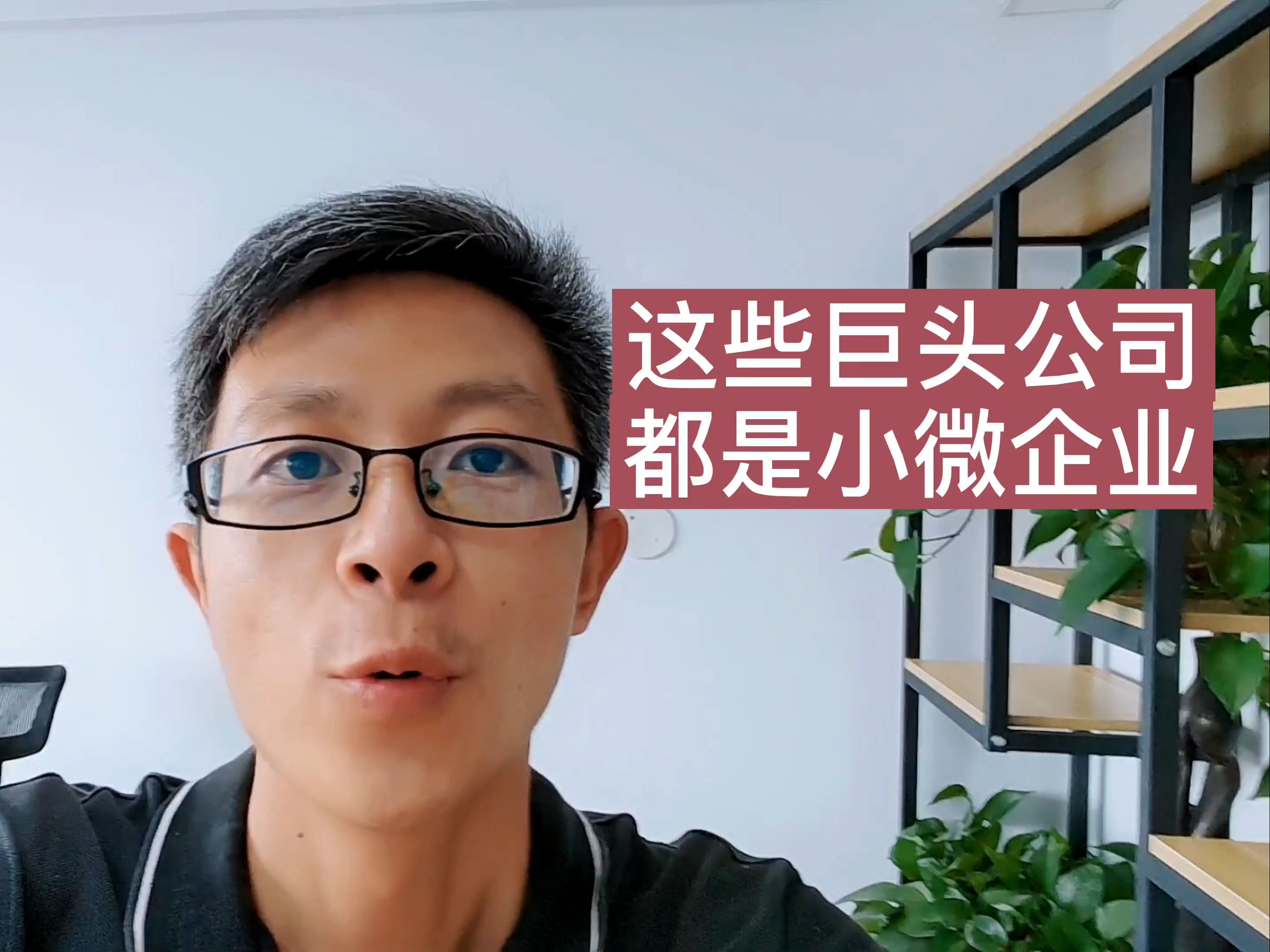 这些大企业,其实是小微企业