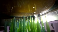 鱼子生成器珍珠生成器珍珠胶囊机