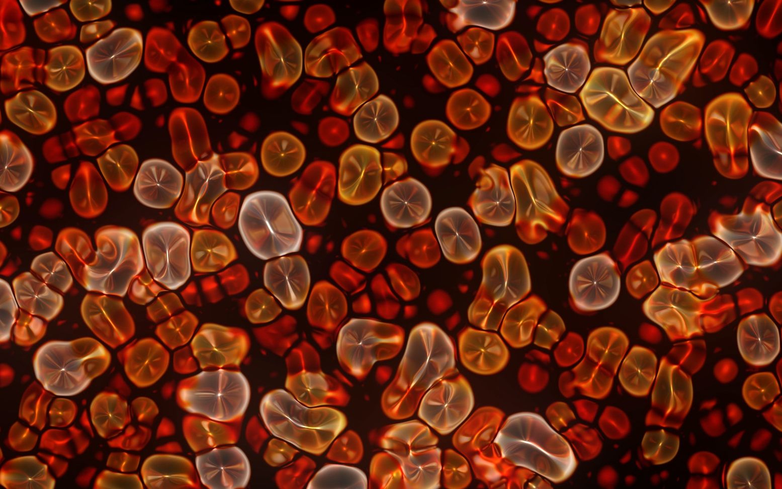 [AE教程] Fractal Noise细胞融合模拟