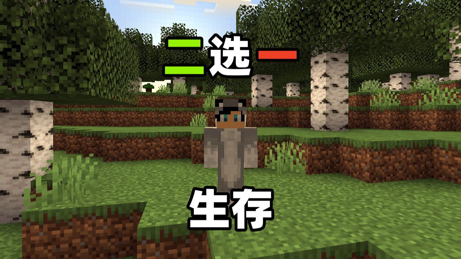 每三分钟都会经历一次选择?我的世界二选一生存_哔哩哔哩bilibili_我的...