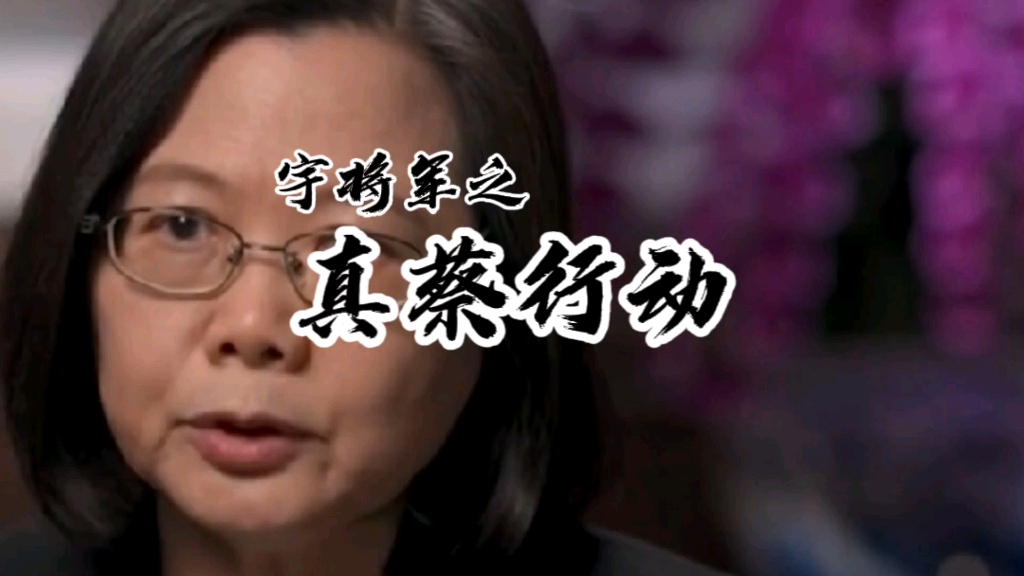 正能量宇将军真实蔡英文