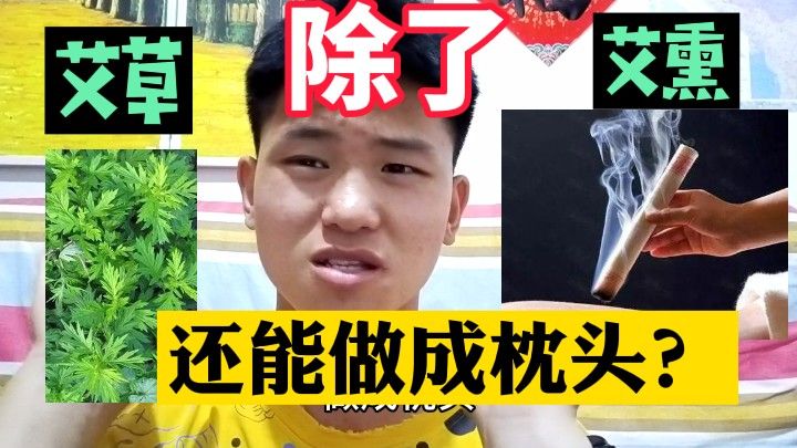 艾草做成枕头有什么功效?懂行的人给解答下呗ߘ�。