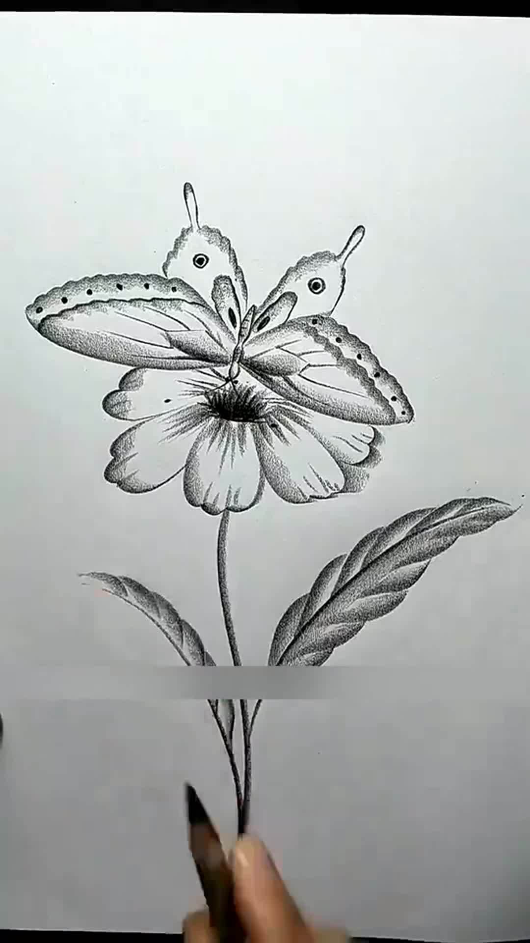 简单几笔画花卉,零基础一学就会!#零基础学画画 #炭笔画 #一学就会系列