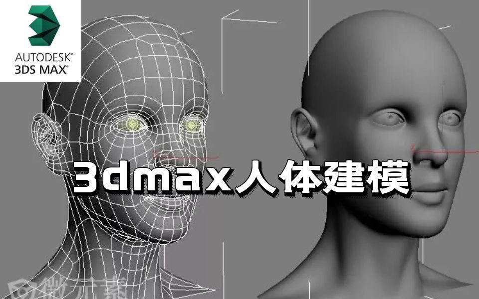 3dmax人体建模:建模都是点线面,主要是多练习~这些基操你都会了吗?