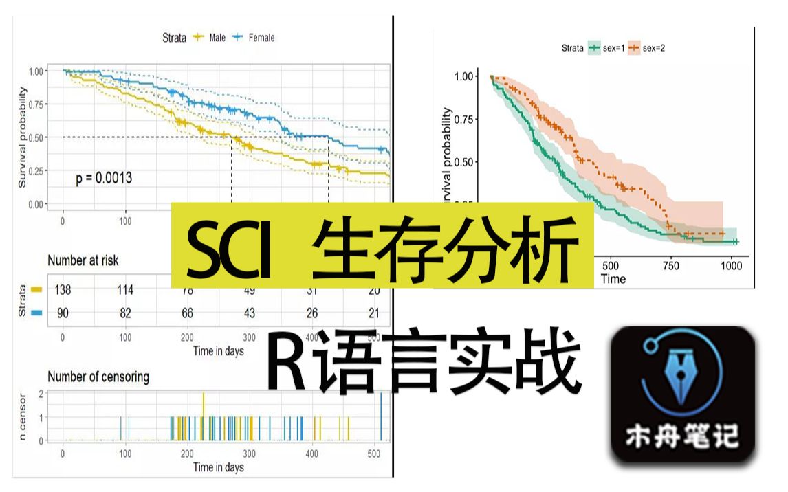 R 生存分析系列|1.survminer生存分析及其可视化
