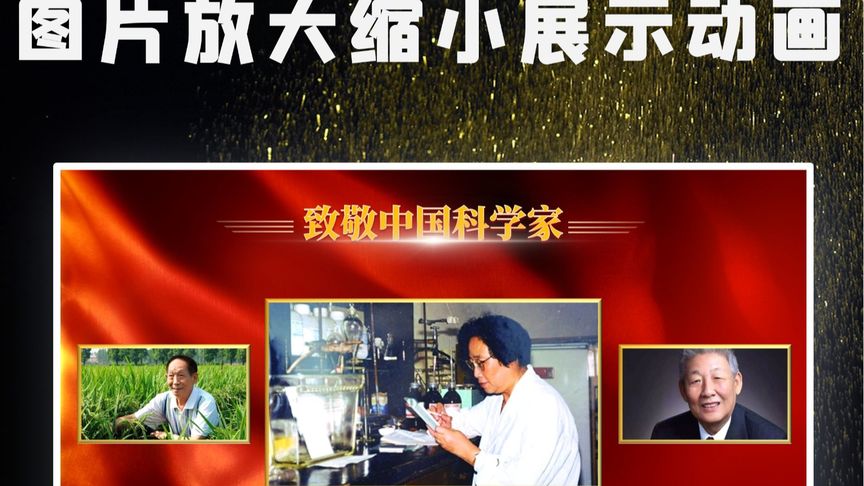 PPT多图片放大缩小展示动画教学 #ppt #ppt动画 #ppt模板