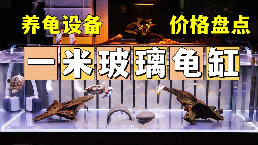 一米超白玻璃龟缸所有物品价格盘点(附链接),养龟真是个无底洞