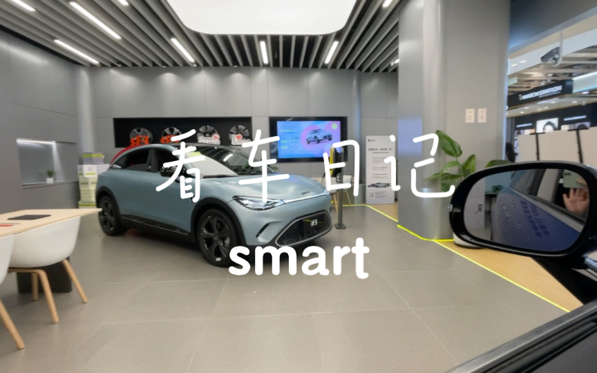 Smart精灵,这是啥韭菜车?