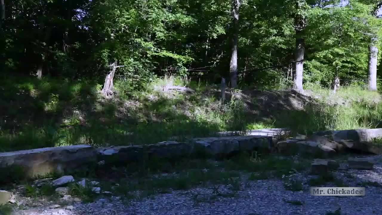 砸石头 #࿆危险动作请勿模仿 #要不是亲眼所见我是万万不敢相信