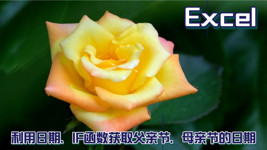 Excel综合(64):利用日期、IF函数获取父亲节、母亲节的日