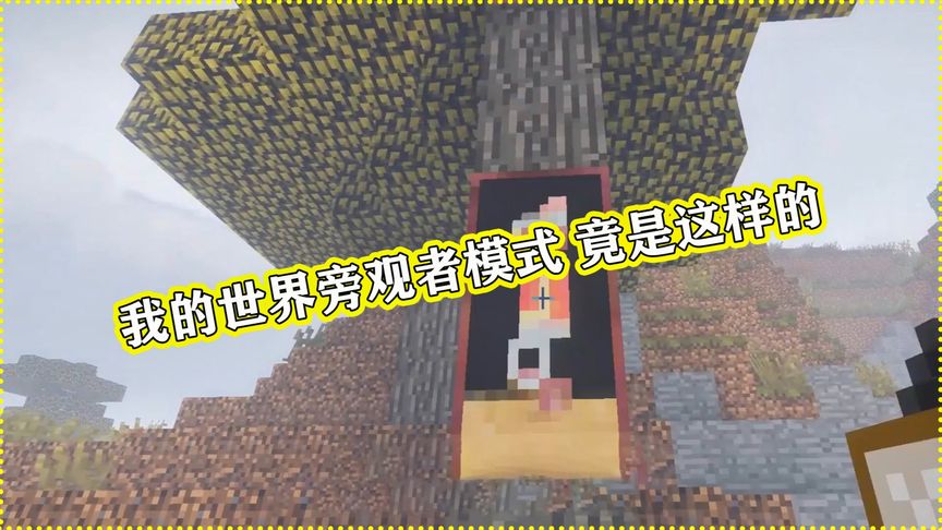MC旁观者模式,竟是这样的