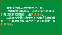 消化系统的组成及功能