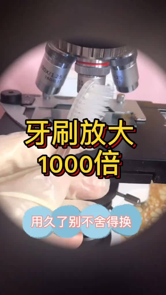 两个月换一次即可显微镜科普显微镜下的世界生物