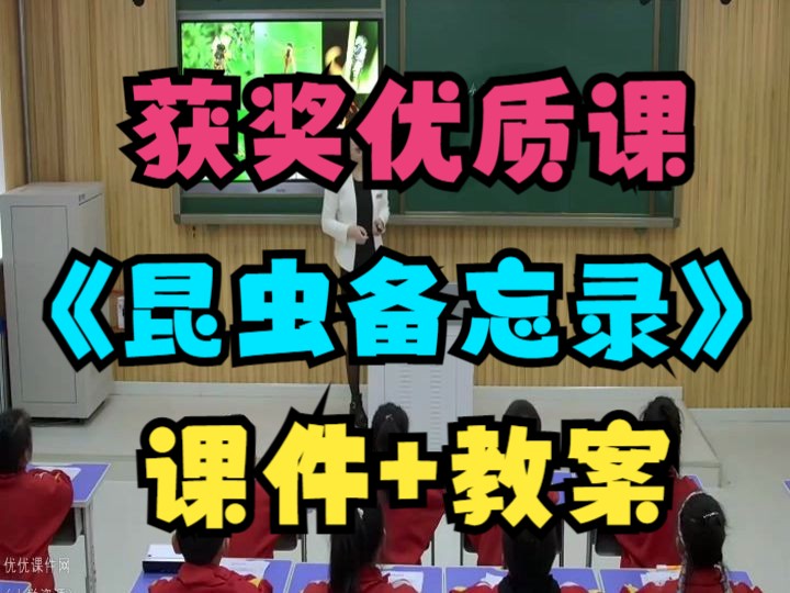 小学语文三年级下册《昆虫备忘录》唐冬梅 县级获奖课(含PPT课件教案)