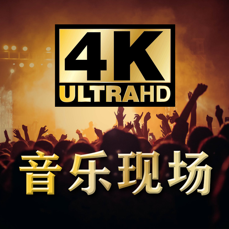 4K顶级音乐现场 