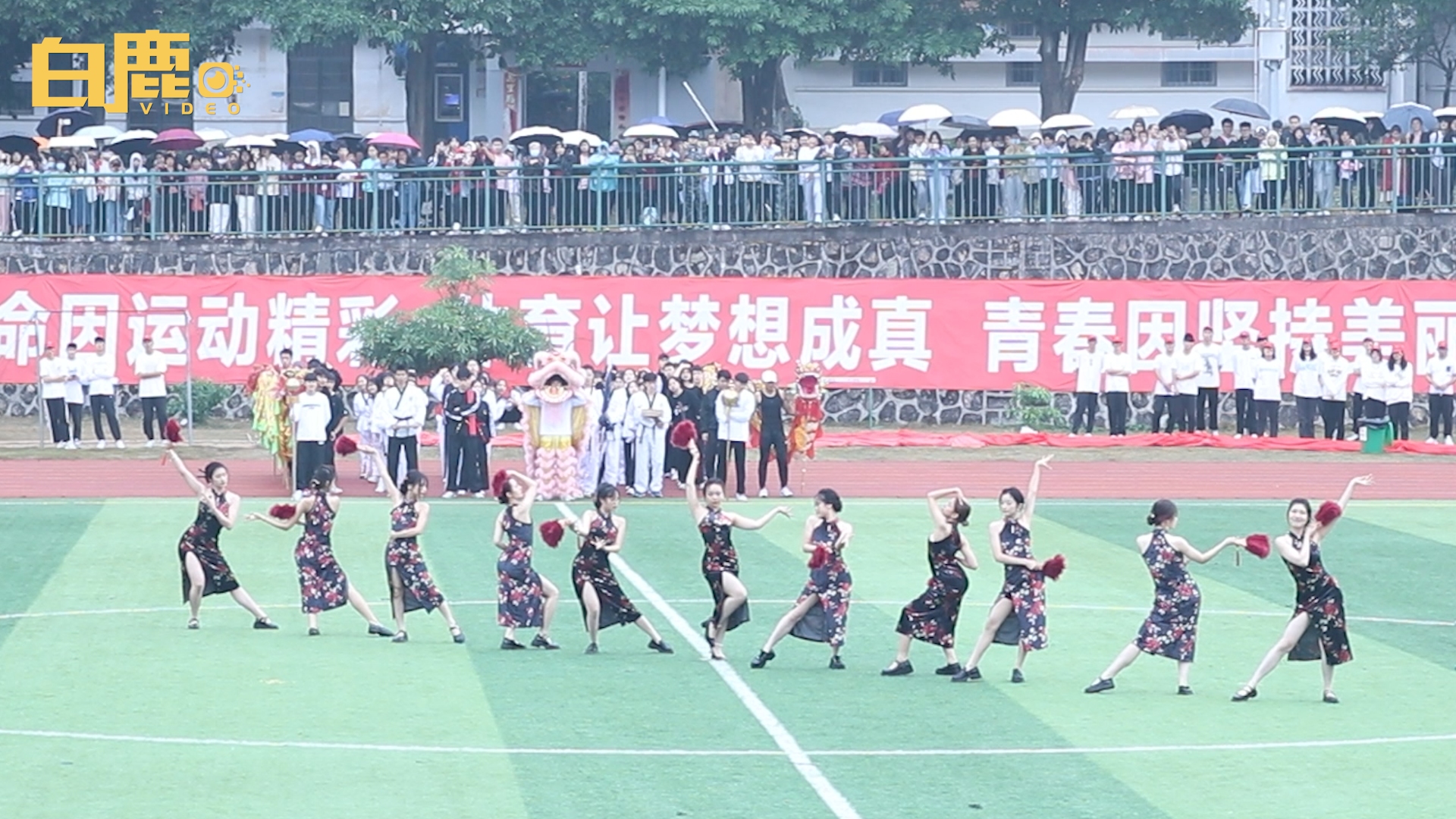 运动会女生自编旗袍扇子舞惊艳全场