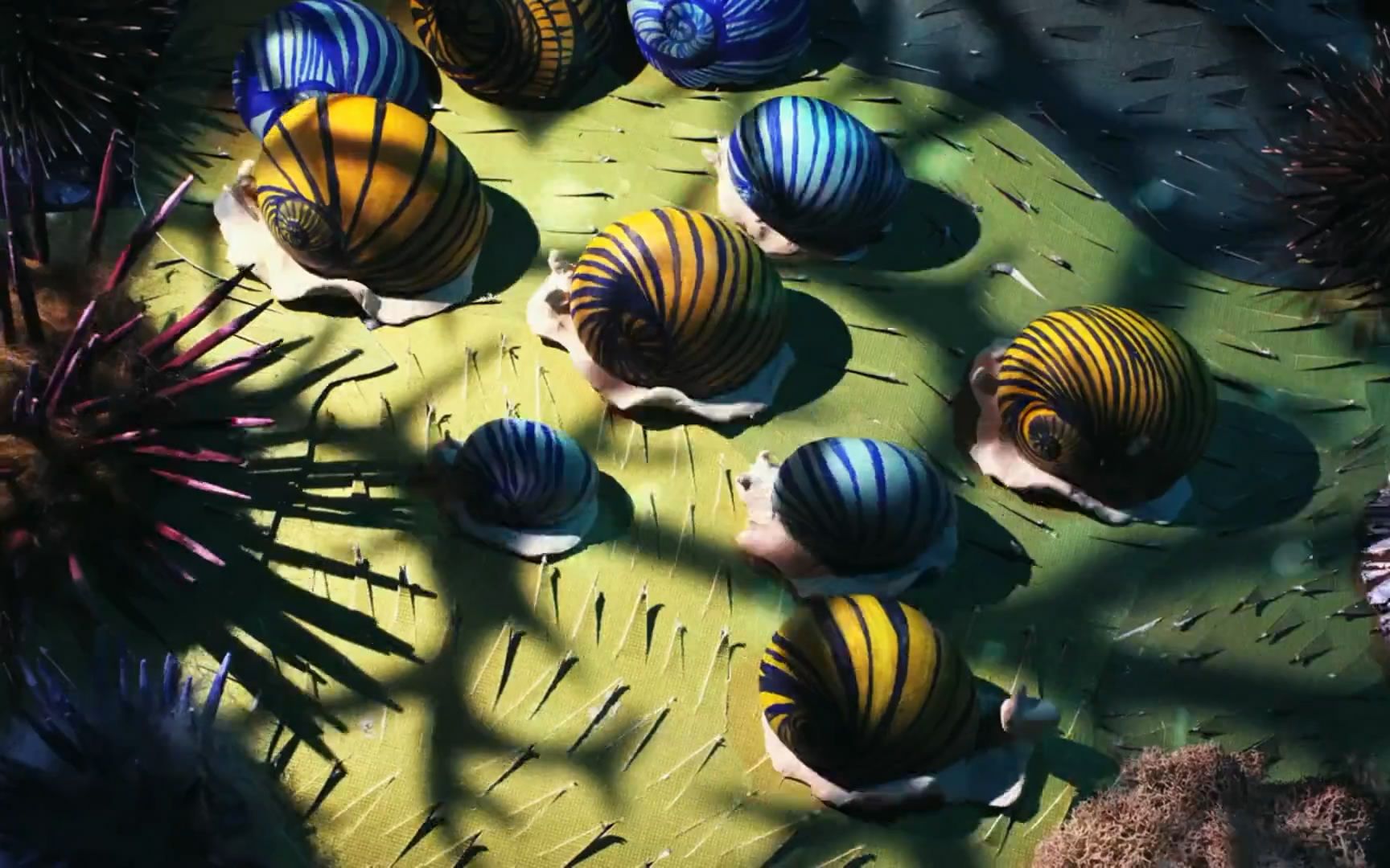 【定格动画】奇幻的海底世界~~|动画学术趴