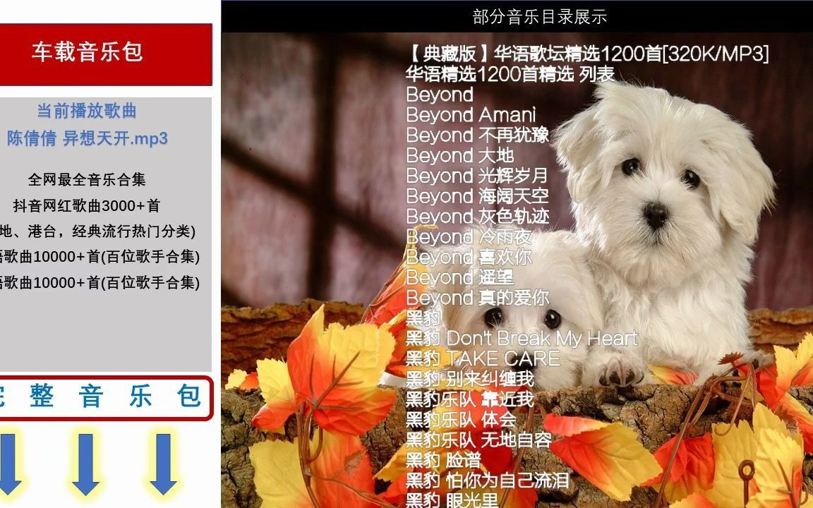 下载车载音乐的软件_开车必备50首DJ歌曲