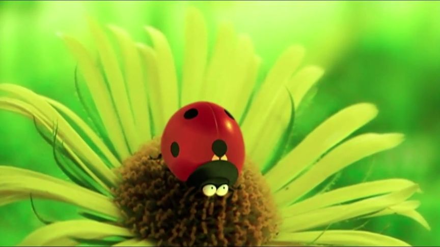 昆虫总动员动画版《瓢虫的挑衅》