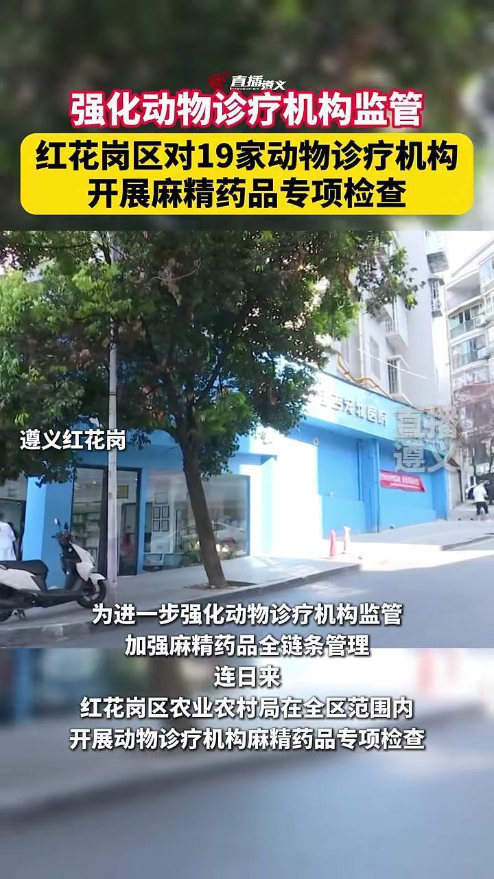 红花岗区对19家动物诊疗机构开展麻精药品专项检查。全媒记者:练伟...
