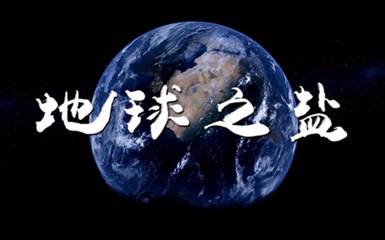【地球之盐】×【纪录片】一首写给人类的歌,一封写给地球的情书