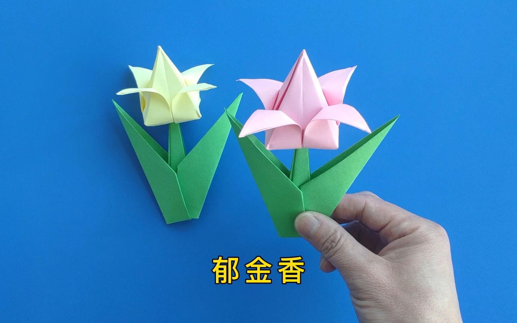 手工折纸郁金香教学,制作简单漂亮的花朵