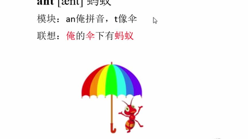 小学英语单词形象记忆,动物类单词ant 蚂蚁趣味记忆