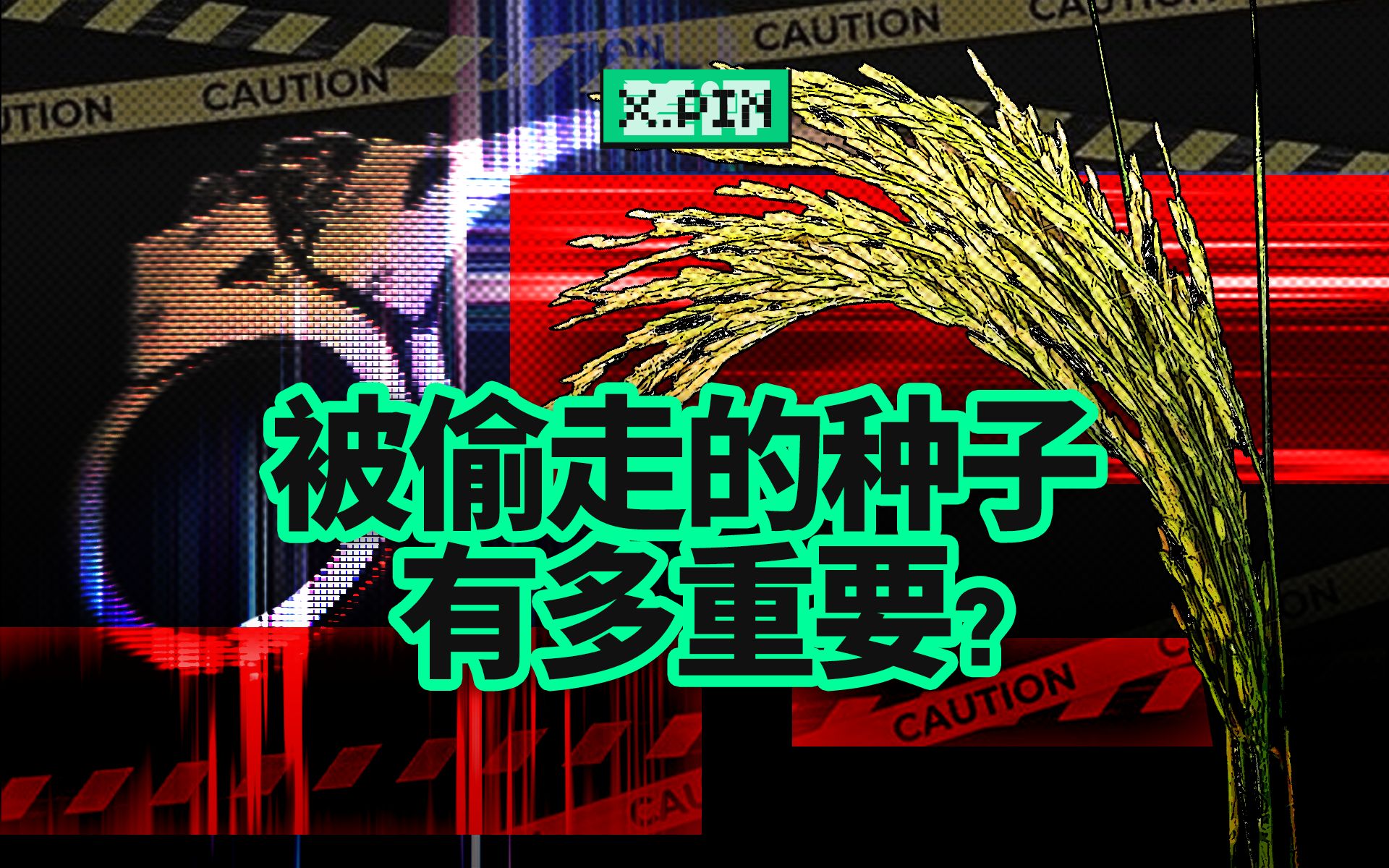 偷卖种子是对境外“提供情报”?为什么这事影响这么大?【差评君】