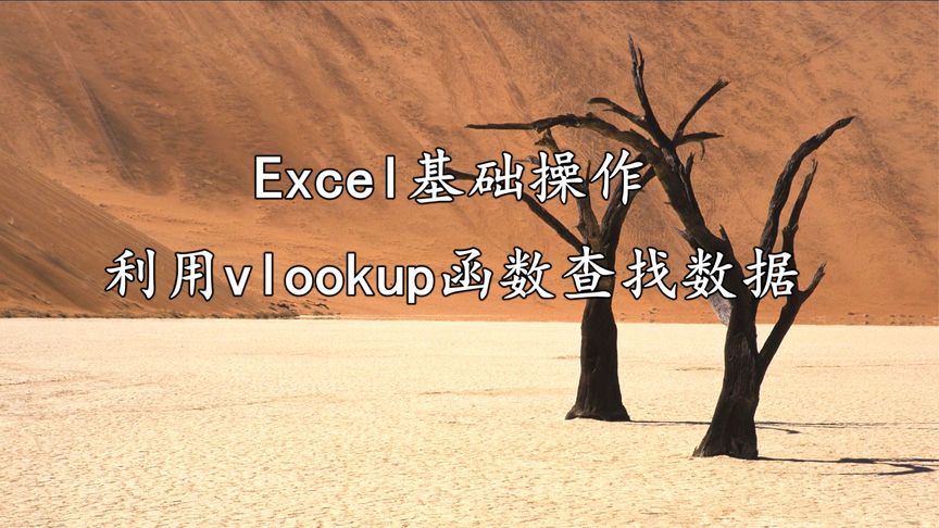 Excel基础操作——利用vlookup函数查找数据