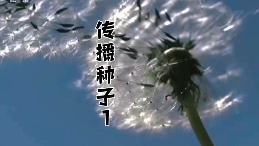 你知道几种植物通过视频的方法传播种子的